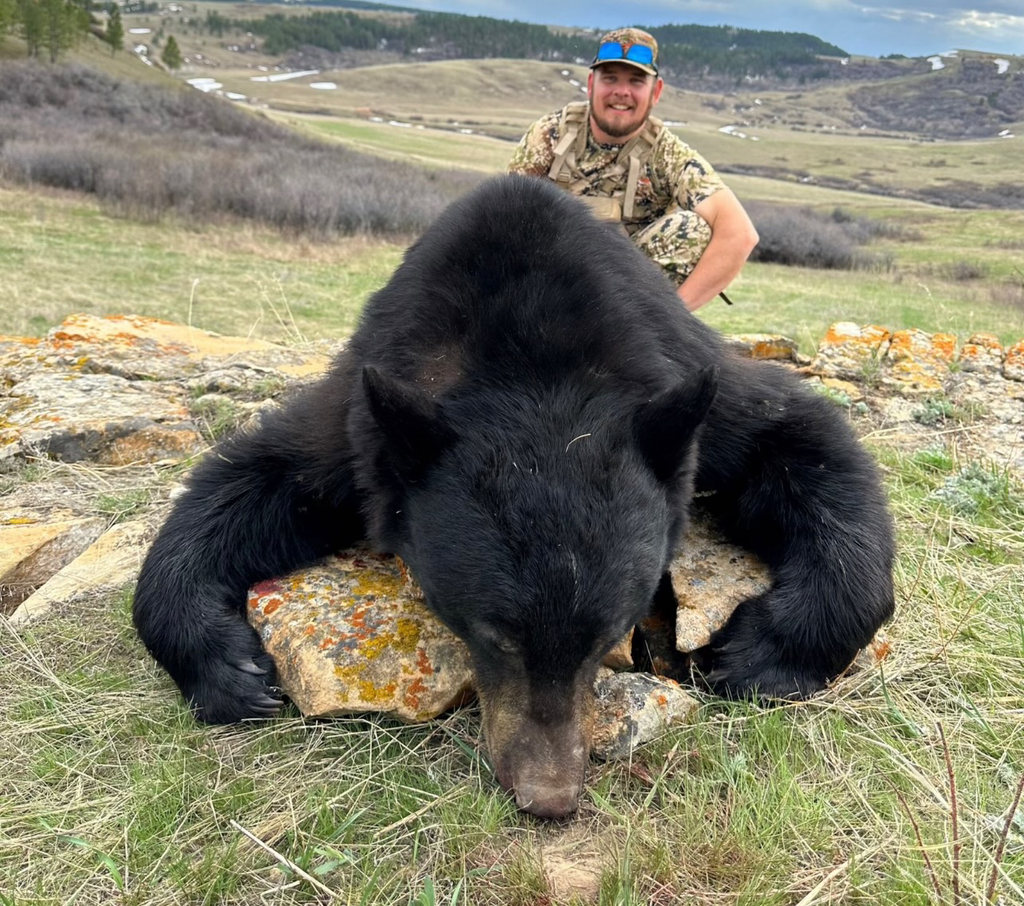 Southern Montana Spring Bear Hunt– Established Outfitters