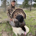 North Spokane Turkey Hunt– Established Outfitters
